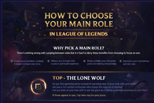 The Five LoL Roles – MSport
