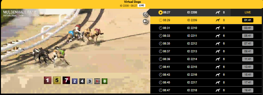 UNDERSTANDING THE VIRTUAL DOG RACING – MSport